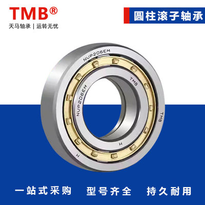 RNNJ409410圆柱滚子轴承