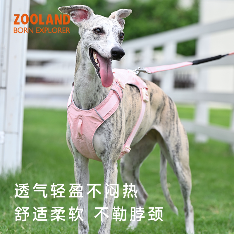 ZOOLAND宠物狗狗牵引绳防爆冲遛狗小中大型犬工字胸背带外出专用