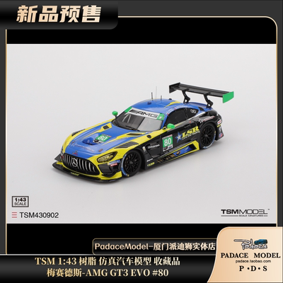 梅赛德斯-AMGGT3EVO#80