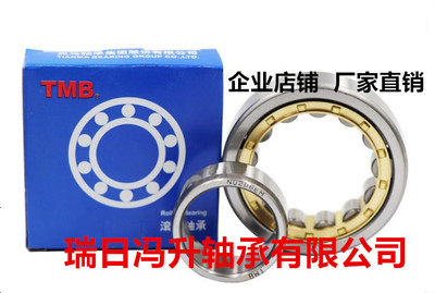 TMB NJ NU204 E TMB双列圆柱滚子轴承内径20mm外径47mm 厚14mm