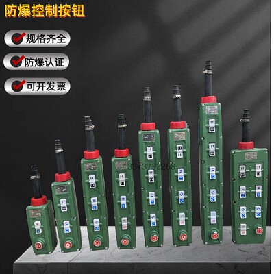 电动葫芦防爆控制手柄按钮开关