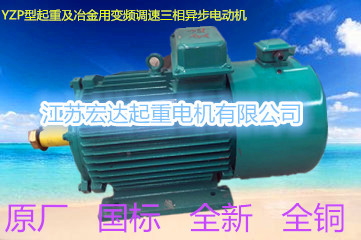江苏宏达YZP355L1-68/10-110-132-160KW起重冶金变频调速三相电机