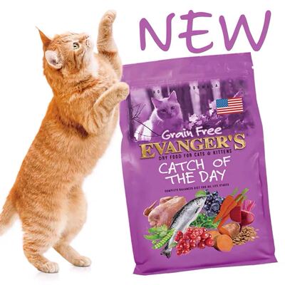 伊凡哲Evager's猫粮WDJ推荐美国进口鸡肉三文鱼低敏无谷全猫粮2kg