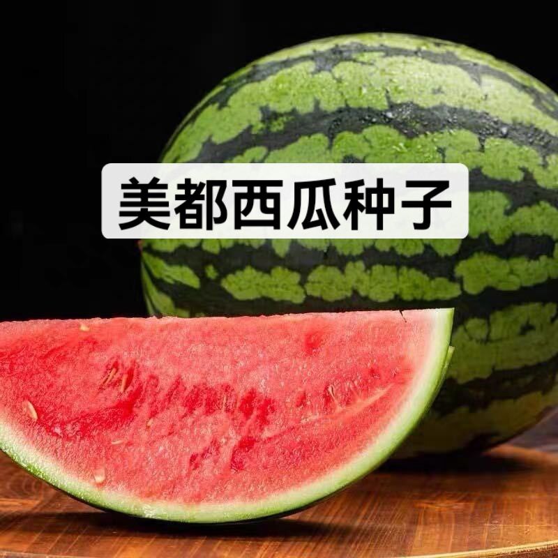美都西瓜种子8424麒麟正宗超甜早熟水果种子盆栽四季种植种籽孑阳