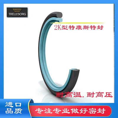 德国特瑞堡PTFE斯特封密封圈