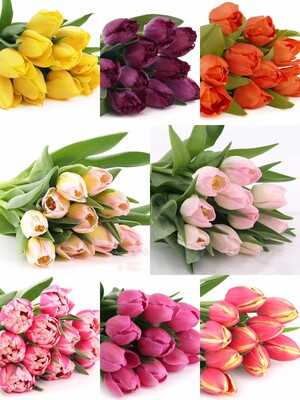 郁金香鲜切花混搭玫瑰花束水养家居礼品婚庆重瓣包邮同城鲜花速递