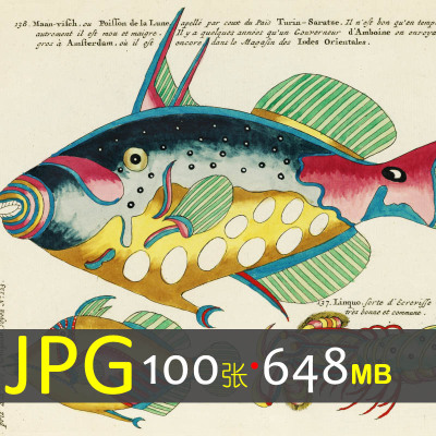029 复古手绘海洋生物鱼类插画美术装饰手帐设计素材图库