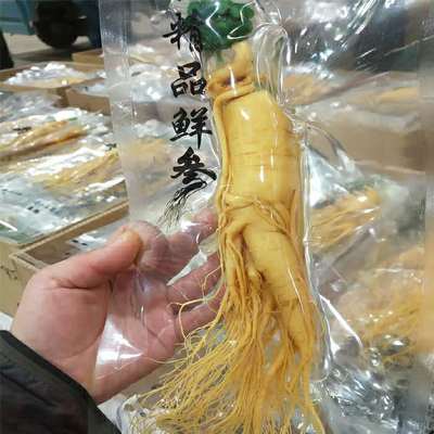 鲜人参长白山人参特大支保鲜参