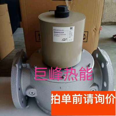 议价SG65FQ220 SG65F02NT33施能电磁阀SG8