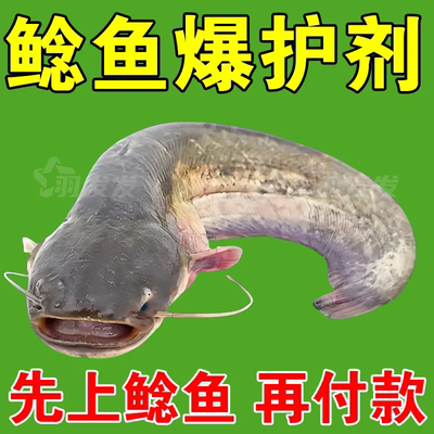 鲶鱼疯正品专用大头鲶鱼窝料钓鱼小药鲶鱼诱食剂野钓鱼饵钓添加剂