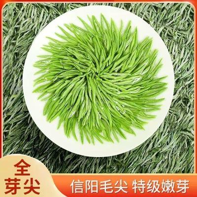 信阳毛尖2025新茶明前特级嫩芽