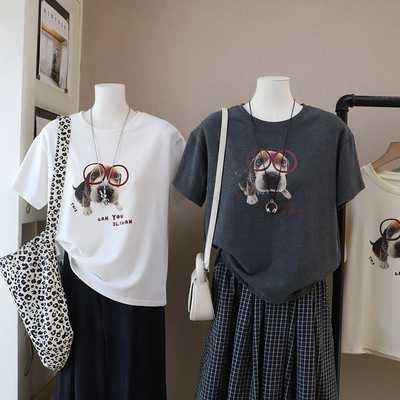 [比正]2026早春新款韩版狗狗印花磨毛显瘦休闲百搭短袖T恤女5943