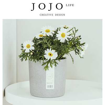 JOJO'SLIFEPD花盆卧室家居陶瓷