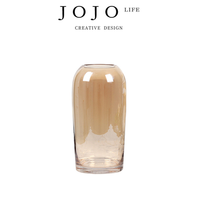 JOJO'SL.PD透明丝光花瓶