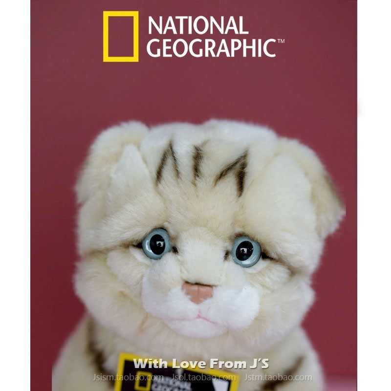 国家地理猫咪毛绒公仔 猫猫仿真玩偶儿童玩具礼物 LEOSCO超软好撸