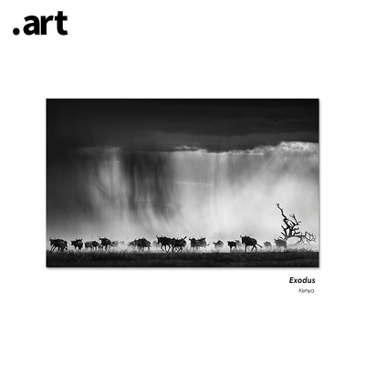 Exodus非洲大迁徙 动物自然摄影 黑色家居客厅书房装饰画巨幅挂画