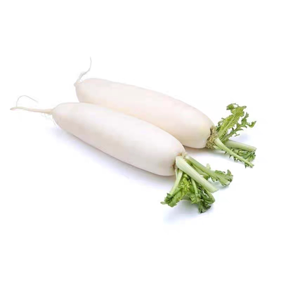 夏季耐热白玉萝卜大白萝卜种子