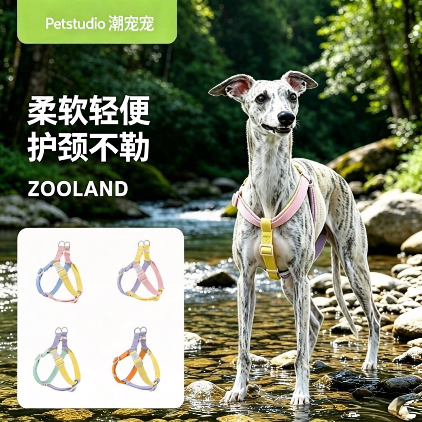 ZOOLAND狗狗牵引绳防挣脱胸背带中小型犬外出遛狗绳防爆冲可调节