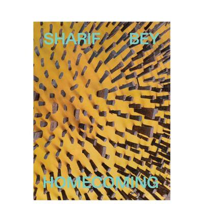 【预售】沙里夫·贝伊作品集：归途 Sharif Bey: Homecoming 原版英文艺术画册画集 善本图书