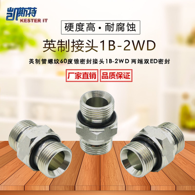 伊顿标准英制管螺纹接头液压直通接头过渡接头双密封接头1B-2WD
