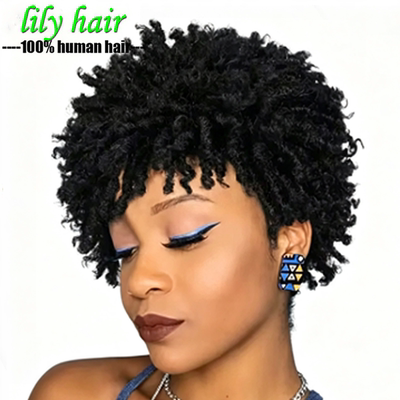 10A Peruvian Afro Kinky Curly Human Hair 13*4 Lace Pixie Wig