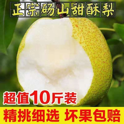 新鲜水果梨子砀山梨酥梨现摘现发