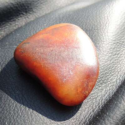 惊世利好方言标本级俄老