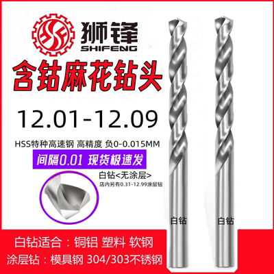 12.01-12.09狮锋钻头钻咀钻花