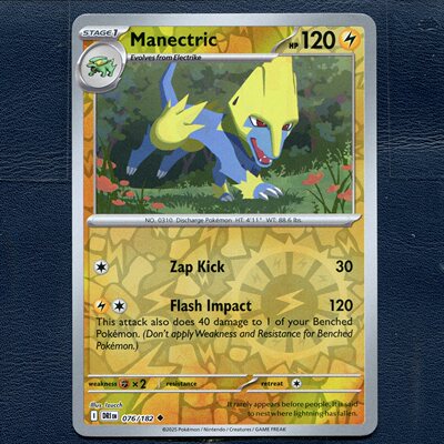 宝可梦 TCG正版卡牌 英文版 命运劲敌 雷电兽 DRI-076 反闪 美版