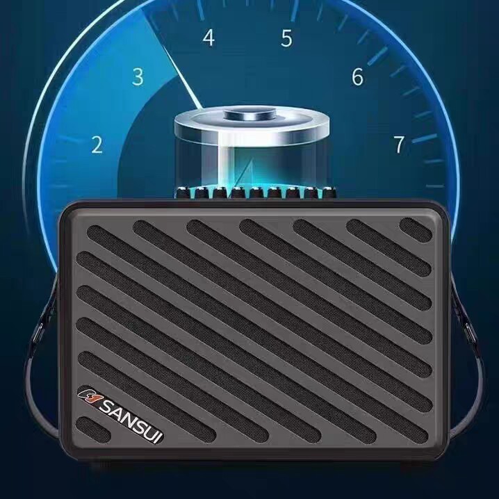 山水音响SS803广场舞音箱户外便携式移动k歌带话筒带声卡直播内录