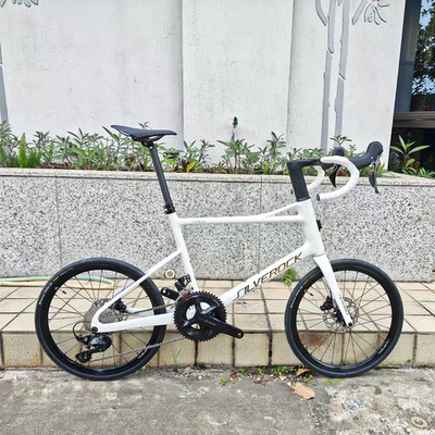 SILVEROCK20寸451碳纤维桶轴小轮