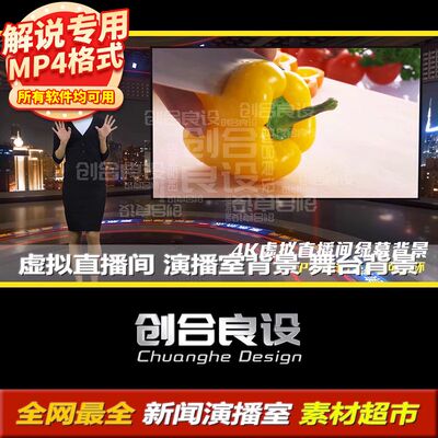 虚拟直播间新闻演播室大屏幕解说绿幕PR剪影Vmix动态背景视频素材