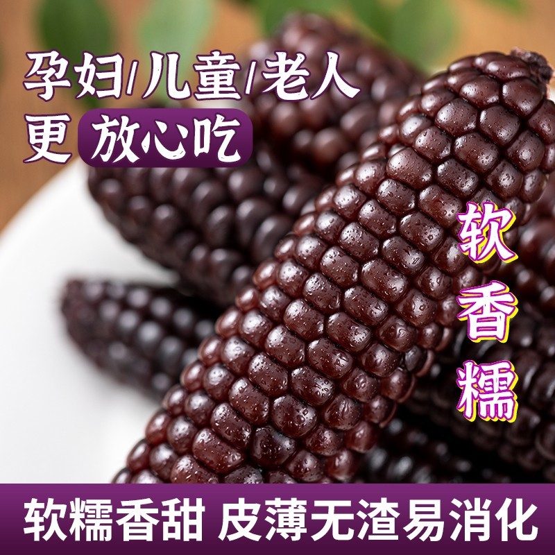西双版纳紫金香糯拇指小玉米早餐代餐主食新鲜甜黑糯玉米宝宝孕妇