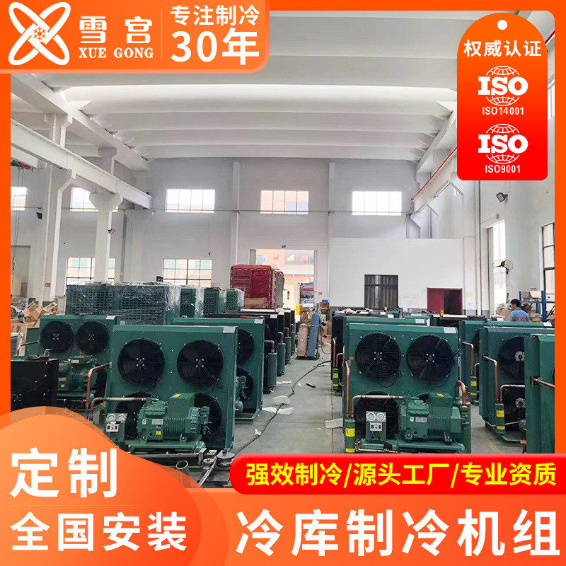 一体机比泽尔冷库制冷机组半封闭制冷压缩机谷轮型冷冻保鲜库
