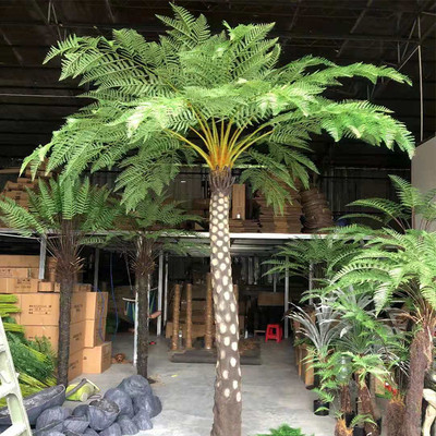 仿真桫椤树玻璃钢蛇木树公园景区室内商场家居装饰树蕨人造沙罗树