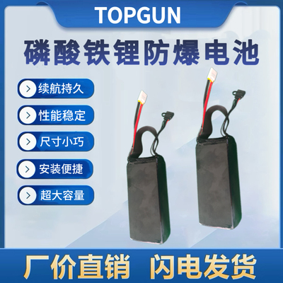 大功率航模储能专用电池