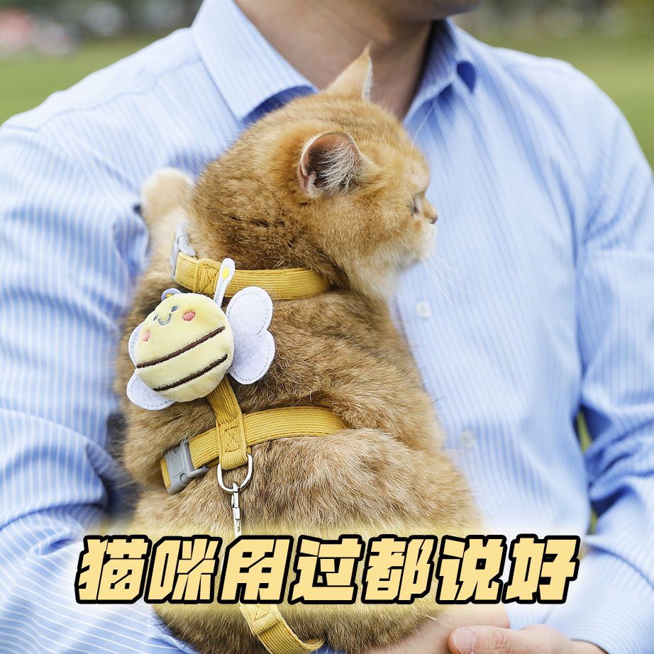 猫咪牵引绳防挣脱遛猫牵引绳猫绳子猫牵引外出可调节专用猫绳背带