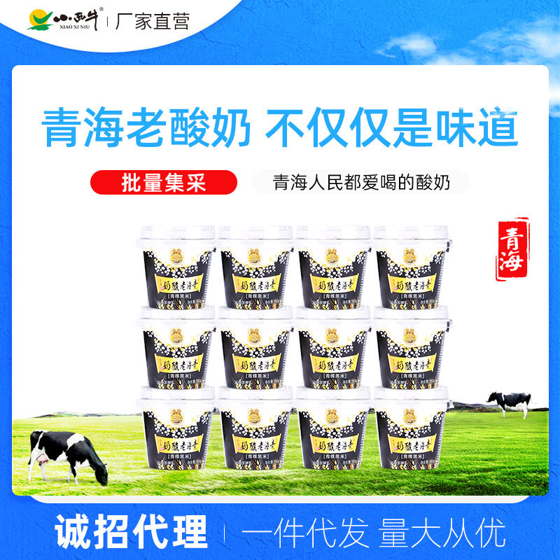 光明小西牛 青海老酸奶青稞黑米藏之宝高原特产谷物低温老酸奶150