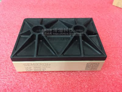 SKIIP30NAC12IT1 SKIIP30NAC12IT42 原装现货