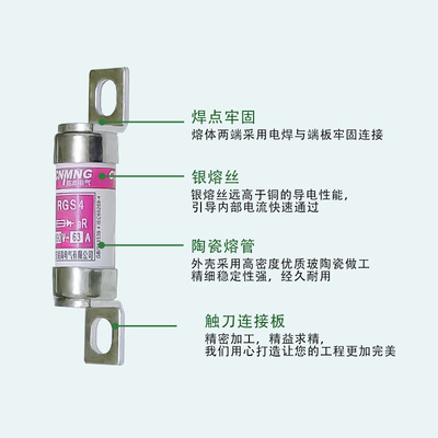 RGS4 AC690V快速熔断器RS308-HB/660GH/EV88/RSG100A