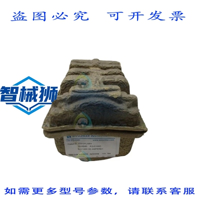 原装供应 WESCHLER 103131LSSV 面板表 0-1200 安培 NSMP