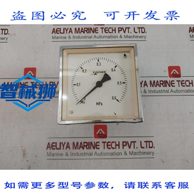 原装供应 MANOMETRO FISCHER 8M 002 RQ96 0-0 6 MPA
