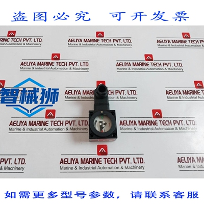 原装供应 丹佛斯 VPI 160G0422 12B GDM MAX.CARICO CONT.0.2W
