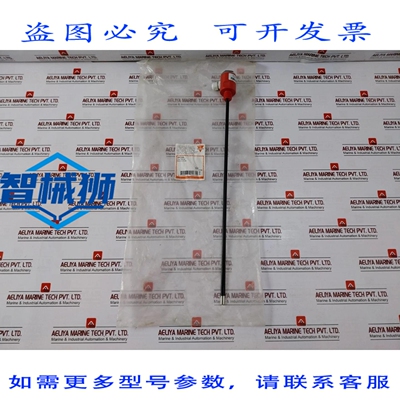 原装供应 CARLO GAVAZZI VPC205 SERIE CONDUTTIVO 传感器液位 RE