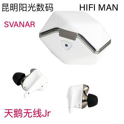 HIFIMAN小天鹅真无线蓝牙耳机