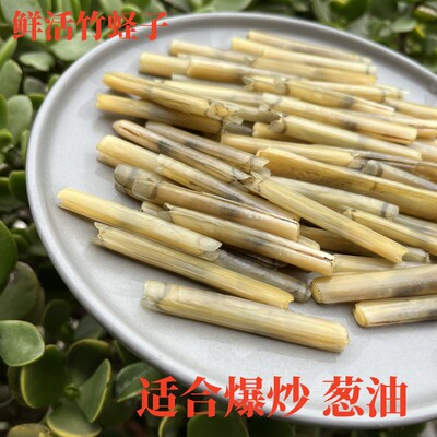 鲜活贝类竹蛏子无沙海蛏