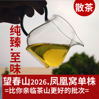 墨江凤凰窝单株2026明前批.现货】纯净森林韵高级纯料散茶