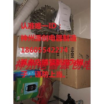 议价 VALCANO R4440V100－A 锅炉燃烧器火焰监测器