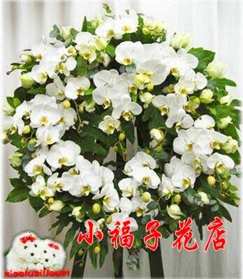 丧事白事花篮花圈追悼会哀悼葬礼鲜花鲜花花图上海殡仪馆鲜花速递