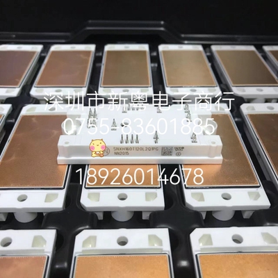 SNXH160T120L2Q1PG 全新原装 光伏逆变器模块 现货可直拍 可开票